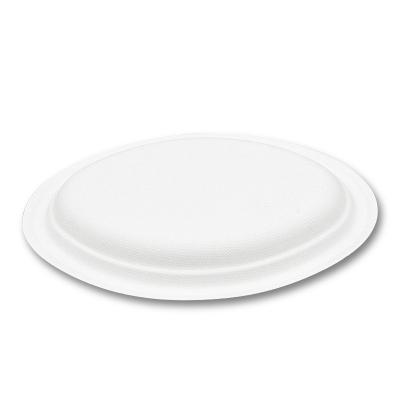 Chine 47.00cm * 33.00cm * 31.50cm Eco-friendly 9 pouces de bagasse de canne à sucre plaque ronde jetable à vendre