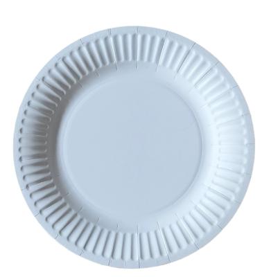 Chine 47.00cm * 33.00cm * 31.50cm Eco-friendly 9 pouces de bagasse de canne à sucre plaque ronde jetable à vendre