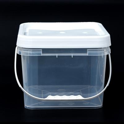 China Shipping Cost Ice Cream Fruit Cheese Cat and Dog Food Plastic Bucket in Different Sizes for sale