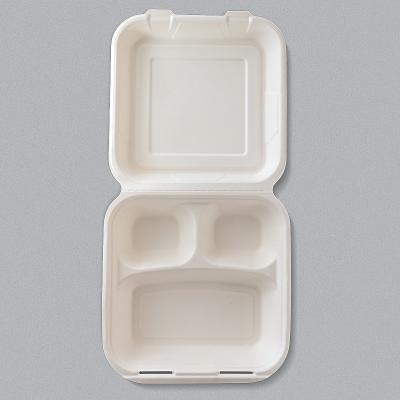 China Eco-Friendly Take Out Food Container with 3 Compartments Made from Sugarcane Pulp for sale