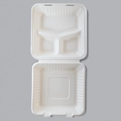 China Eco-Friendly Take Out Food Container with 3 Compartments Made from Sugarcane Pulp for sale