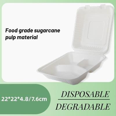 China Eco-Friendly Take Out Food Container with 3 Compartments Made from Sugarcane Pulp for sale