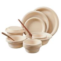 China Compostable Sugarcane Bagasse Paper Plates 2.9g 1000pcs Biodegradable Disposable Dinnerware for sale