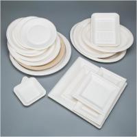 China Compostable Sugarcane Bagasse Paper Plates 2.9g 1000pcs Biodegradable Disposable Dinnerware for sale