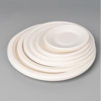 China Compostable Sugarcane Bagasse Paper Plates 2.9g 1000pcs Biodegradable Disposable Dinnerware for sale