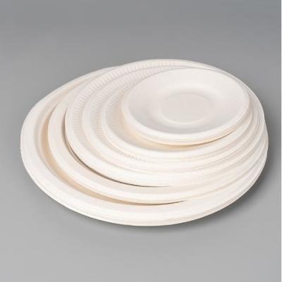China Full Payment Compostable and Biodegradable Plates Made from Natural Sugarcane Bagasse for sale