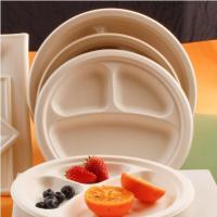 China Eco-Friendly Disposable Paper Plate 2.9g Custom Printed Compostable Tray for Party Supply for sale