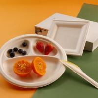 China Eco-Friendly Disposable Paper Plate 2.9g Custom Printed Compostable Tray for Party Supply for sale