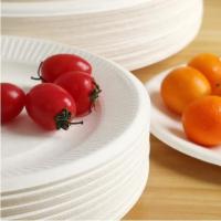China Eco-Friendly Disposable Paper Plate 2.9g Custom Printed Compostable Tray for Party Supply for sale