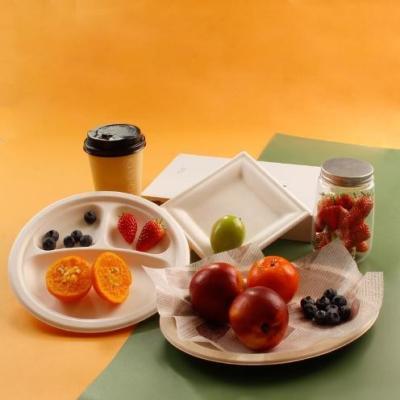 China Customization Sugar Cane Biodegradable Disposable Bagasse Round Paper Plates Tableware for sale