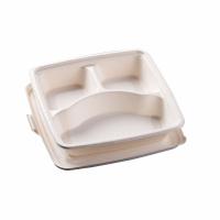 China Biodegradable Paper Lunch Box 17.8cm x 11cm Eco-Friendly Disposable Takeaway Container for sale