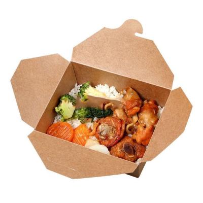Cina Contenitore per la preparazione del pasto di carta kraft usa e getta per la preparazione del pasto per la preparazione del pasto per la preparazione del pasto per la preparazione del pasto in vendita
