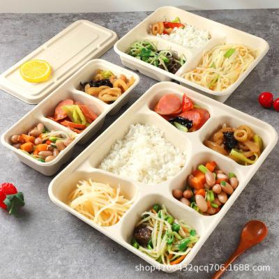 China 100% Compostable Disposable Take out 3 Compartment Square Food Paper Containers Made for sale