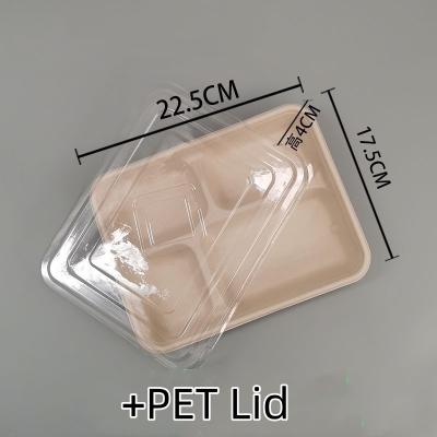 China 100% Compostable Disposable Take out 3 Compartment Square Food Paper Containers Made for sale
