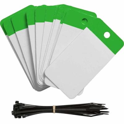 China Custom Self Laminated Blank Tag Vinyl Corlorful Plastic Tag for sale