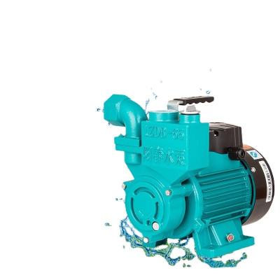 Cina Pompa di potenziamento domestica di 220V per l'approvvigionamento idrico domestico in vendita