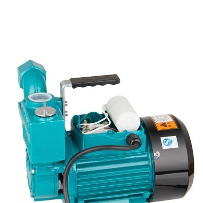 Cina Pompa di potenziamento domestica di 220V per l'approvvigionamento idrico domestico in vendita