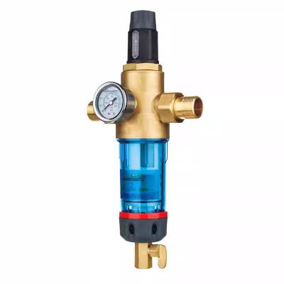 China High Flow Rate Water Pre Filter Protecting the Whole House Water for sale