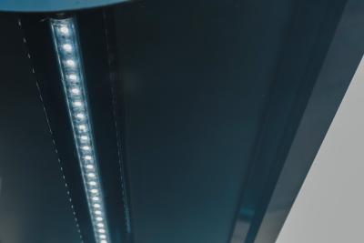 中国 19CU.FT冷やされていたデリカテッセンの例の飾り戸棚220V 50HZ 販売のため