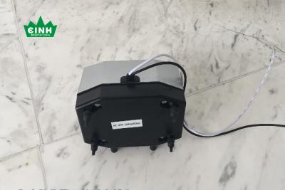 China AC240 Voltage Electromagnetic Air Pumps 30kpa Pressure For Steam Mop for sale
