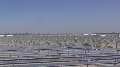 China 10kw 50kw 100KW 200kw 1MW 2MW on grid rack mount structure dual axis solar tracker for sale