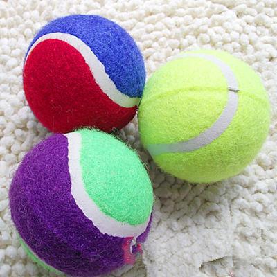 China Pet chewing toy tennis ball set for sale