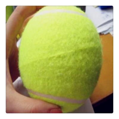 China Pelota de Tenis Amarilla 3'' en venta
