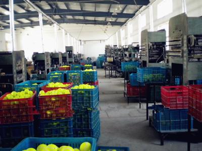 China Rubber Ball Dog Toys manufcturer for sale