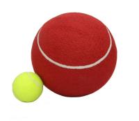 China giant inflatable ball inside for sale