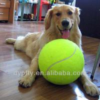 China giant inflatable ball inside for sale