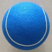 China giant inflatable ball inside for sale