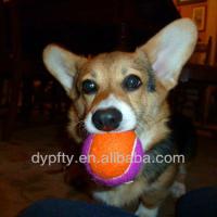 China Pet Training Rubber Tennis Ball 6.3cm Diameter Non Toxic Dog Toy for sale
