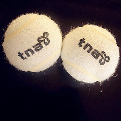 Pet toys for dogs