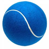 China inflatable jumbo fun ball for sale