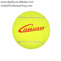 China inflatable bouning ball for sale