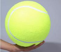 China inflatable bouning ball for sale