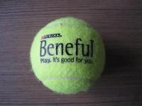 China Custom Logo Pet Tennis Balls 5000pcs Natural Rubber Dog Balls Safe Non Toxic for sale