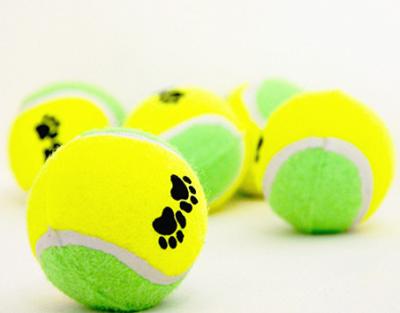 China mini dog playing tennis balls for sale