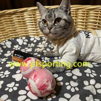 China Large Dog Tennis Ball 65mm Natural Rubber Pet Toy Safe Non Toxic Custom Logo for sale