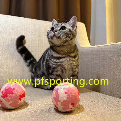 China large dog tennis ball for sale