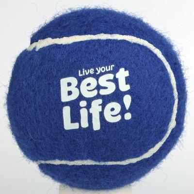 China dog tennis ball for sale