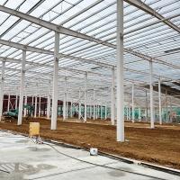 China Fireproof Steel Structure Warehouse Building Cost Saving Multi-function Industrial Plant Q235 20 Year Lifespan for sale