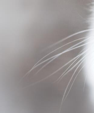 China 764-8104-604 komori original cam komori LS640 machine cam 7648104604 for sale