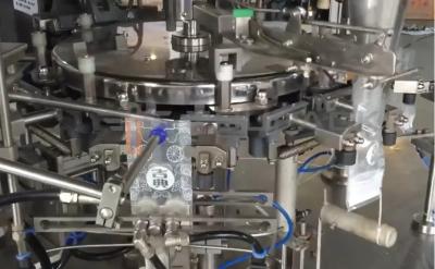 Cina Automatic Multi-Function Rotary Pre-Made Pouch Bag Filling Powder/Food/Package/Packaging Packing Machine in vendita