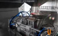 China Full Automatic Horizontal HFFS Packing Machine 260mm Bag Width 200-2000ml Volume for sale