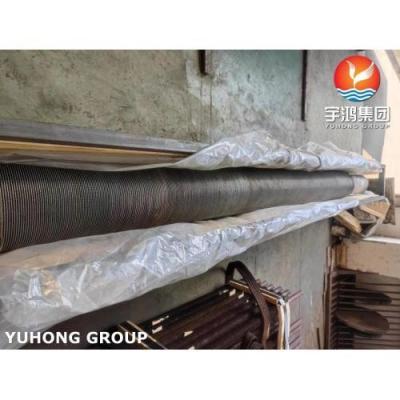 Cina SS409 Tubo elicoidale a pinne a serratura bassa integrale ASTM A312 TP347 in vendita