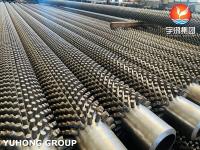 Quality Industrial ASTM A213 Seamless Extruded Fin Pipe Tube With SS409 Studs for sale