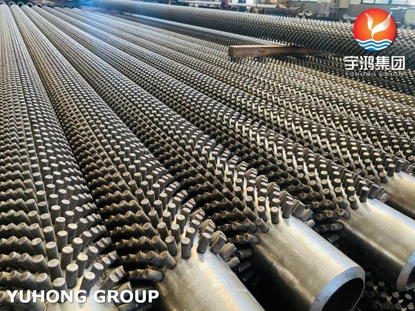 Quality Industrial ASTM A213 Seamless Extruded Fin Pipe Tube With SS409 Studs for sale
