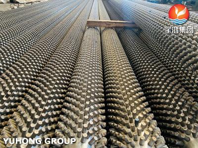 China ODM Stainless Steel Seamless Finned Pipe Aluminum Tubing ASTM A312 TP317L for sale