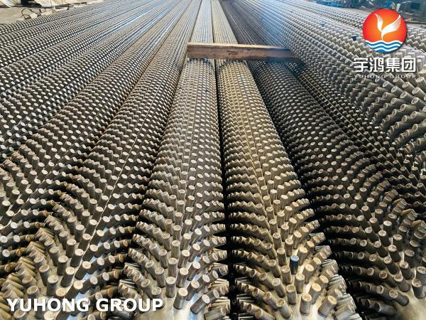 Quality ODM Stainless Steel Seamless Finned Pipe Aluminum Tubing ASTM A312 TP317L for sale